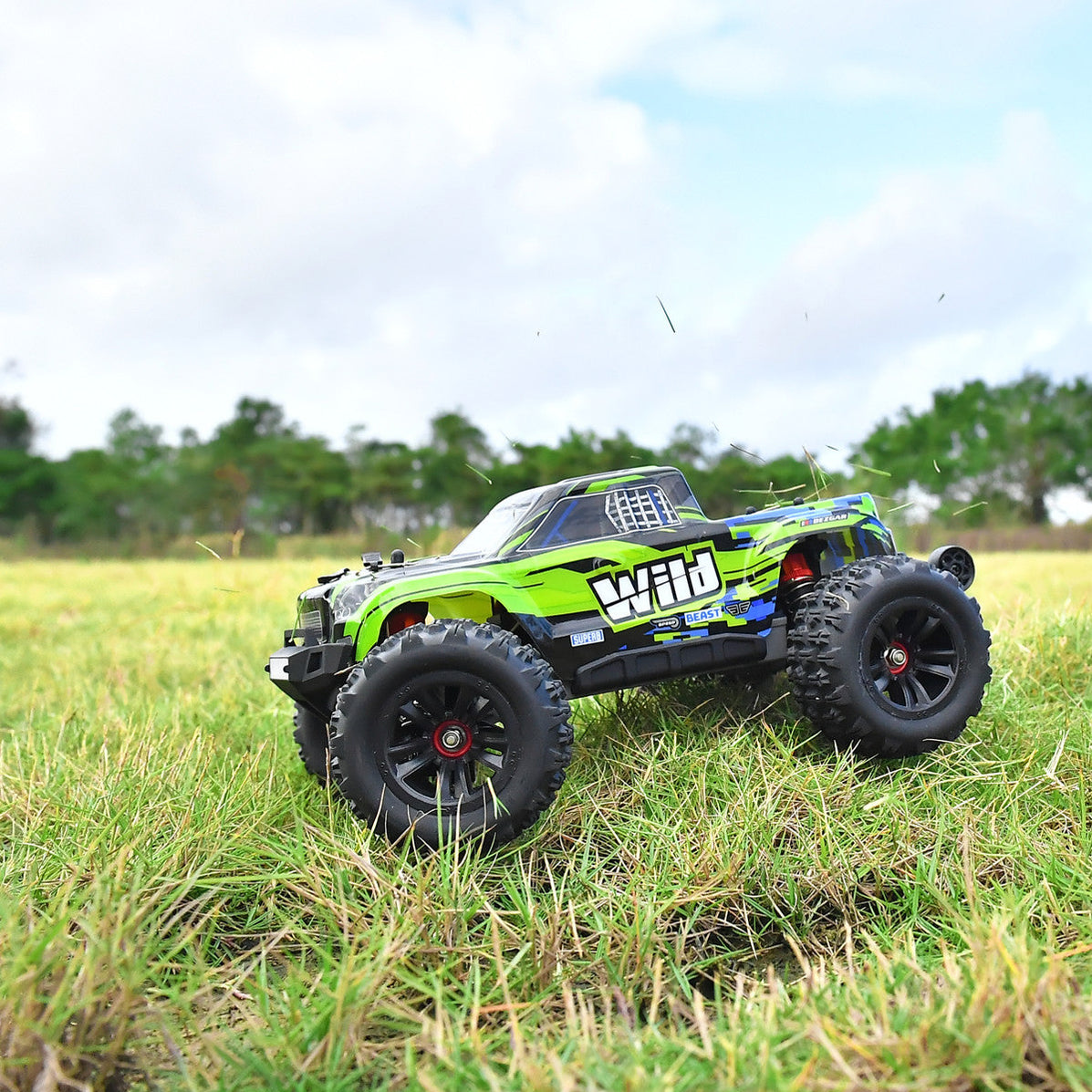 1/16 Brushless RC Car, 4WD Off-Road RC Truck - BEZGAR® HP161S